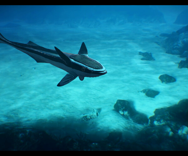 ArtStation - Remora Fish | Game Assets