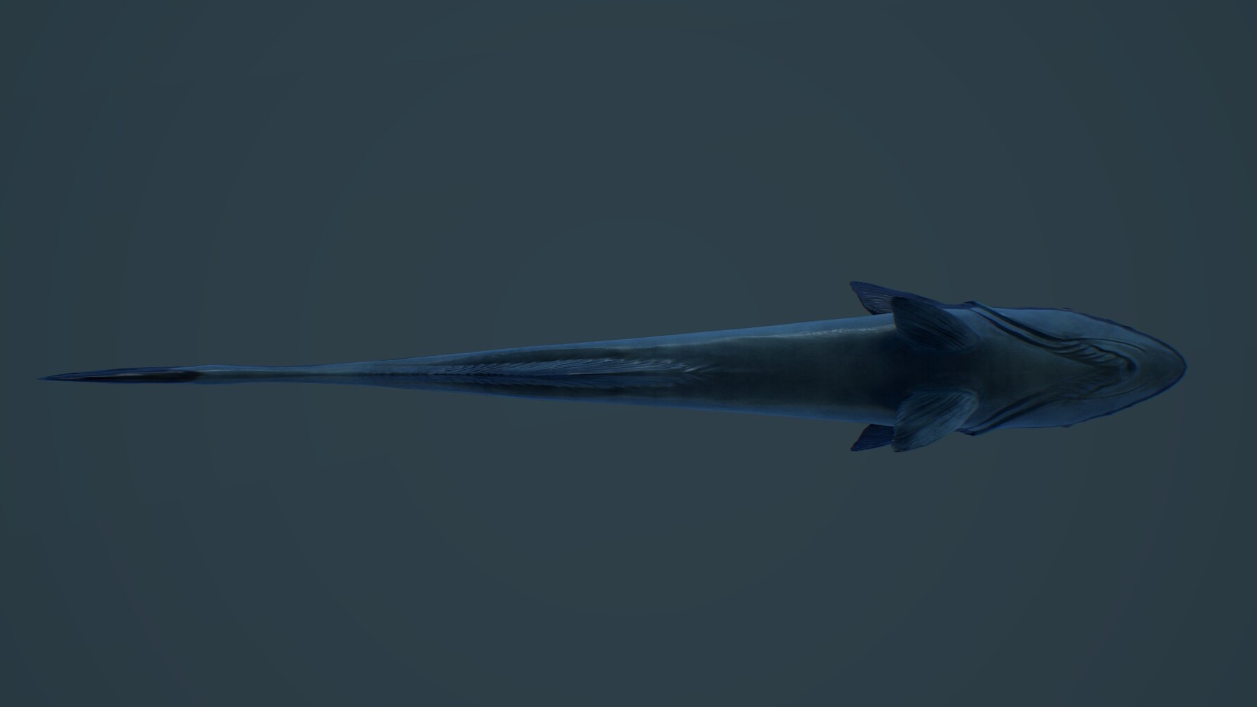 ArtStation - Remora Fish | Game Assets