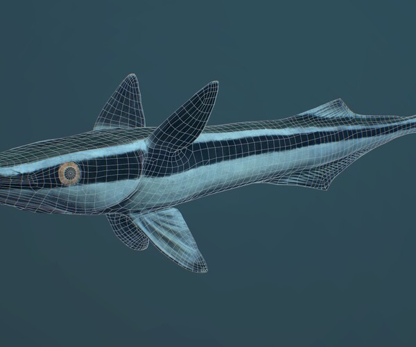 ArtStation - Remora Fish | Game Assets