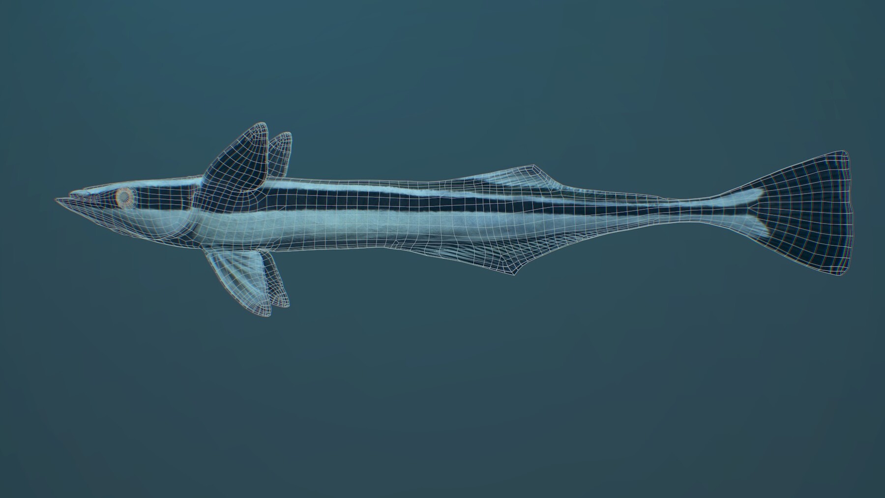 ArtStation - Remora Fish | Game Assets