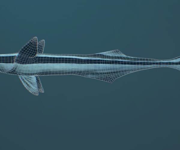 ArtStation - Remora Fish | Game Assets