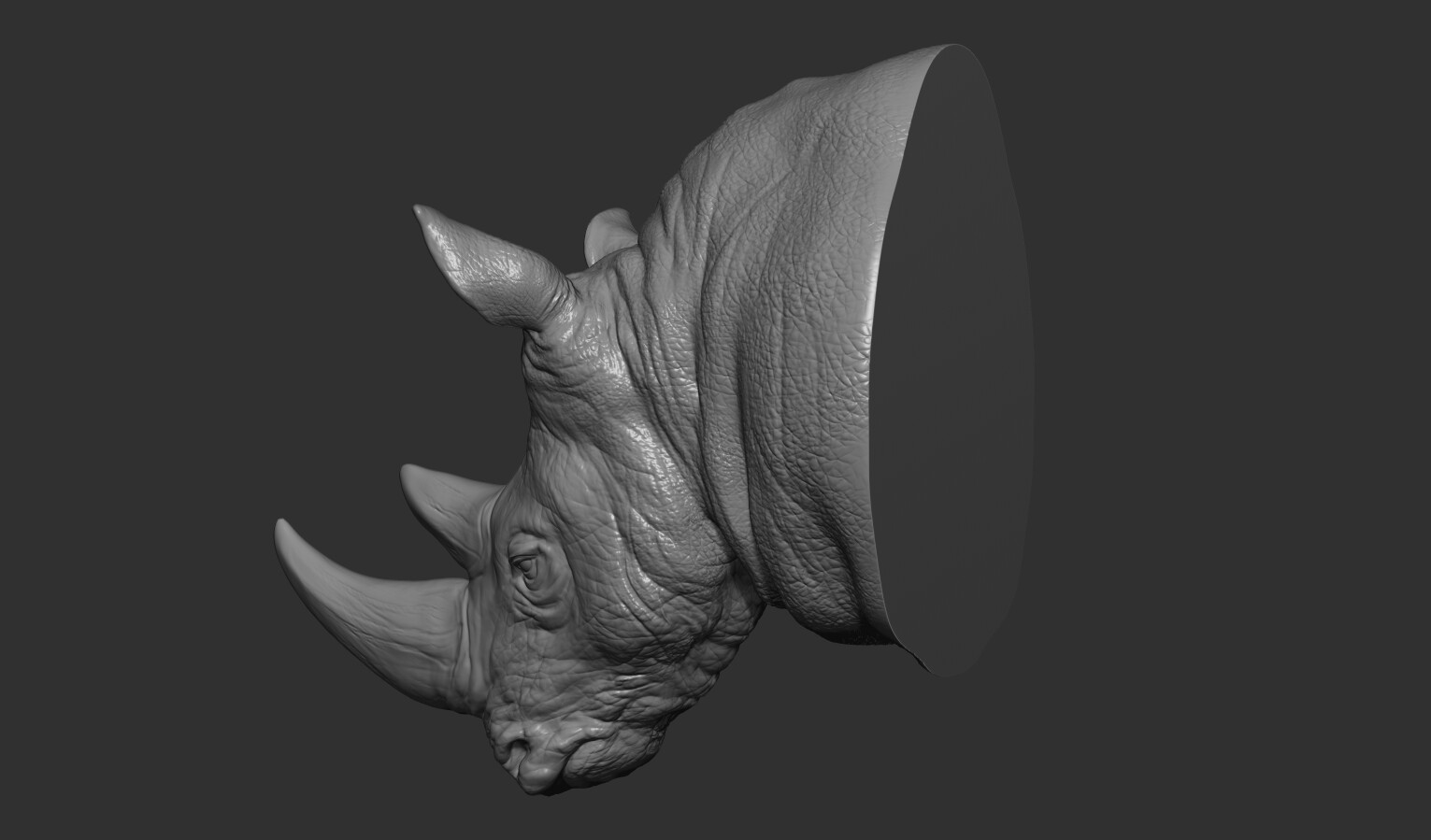 ArtStation - Rhinoceros head | Resources