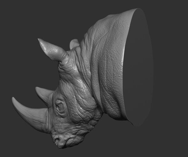 ArtStation - Rhinoceros head | Resources