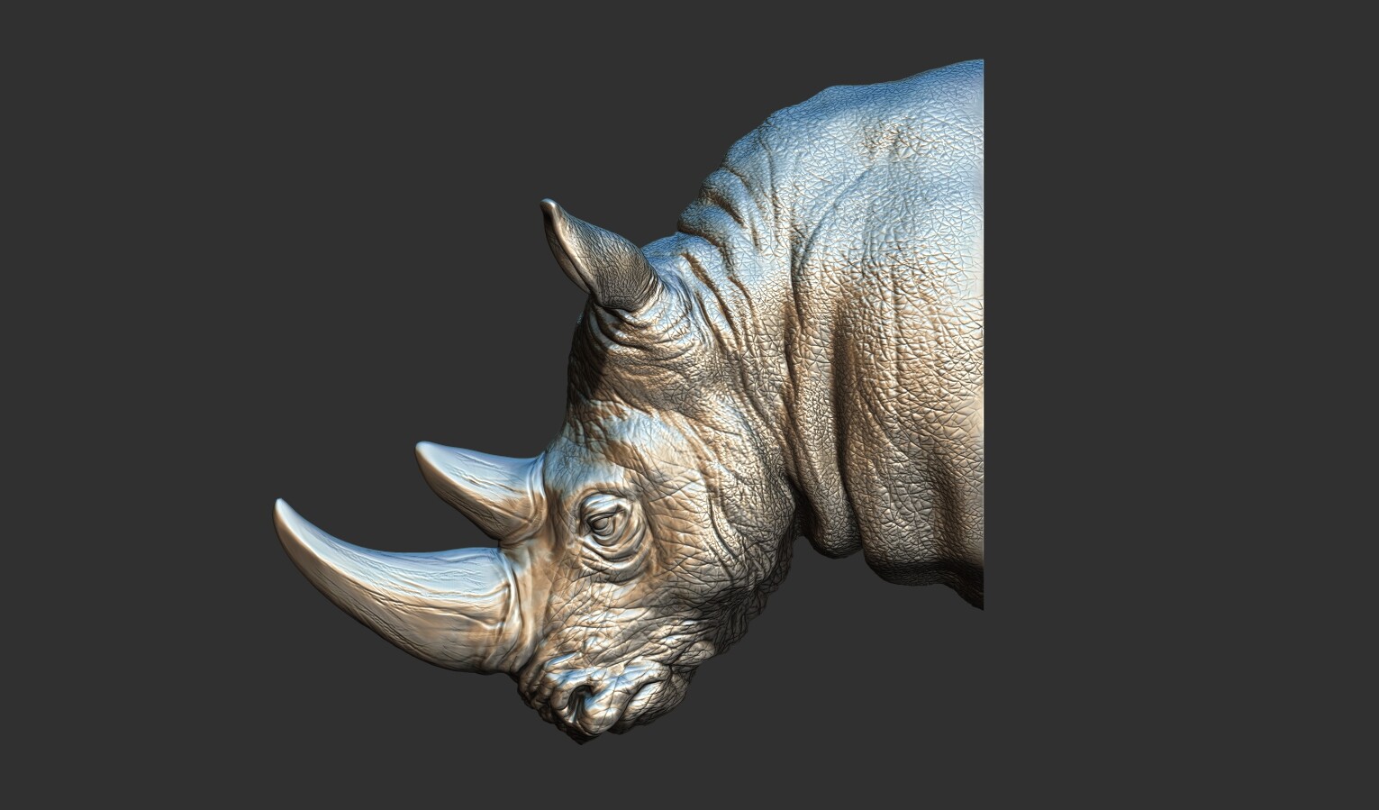ArtStation - Rhinoceros head | Resources