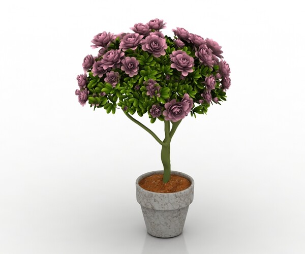 ArtStation - Resource-Interior-Plant - house flowers | Resources