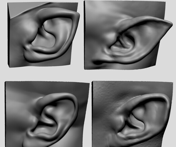 ArtStation - Ear Models | Resources