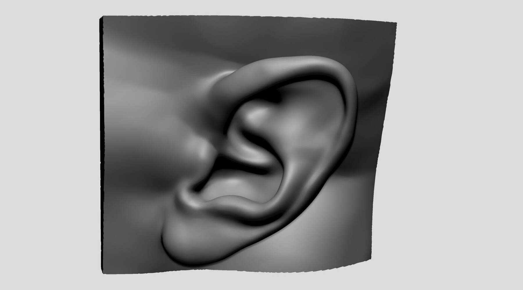 ArtStation - Ear Models | Resources