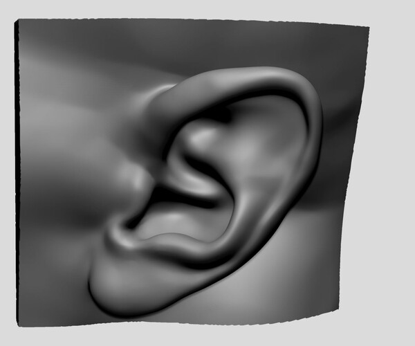 ArtStation - Ear Models | Resources