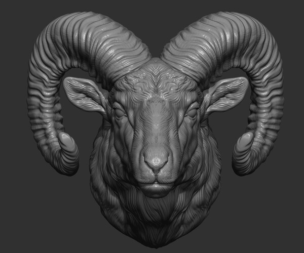ArtStation - Big Horned Ram head | Resources