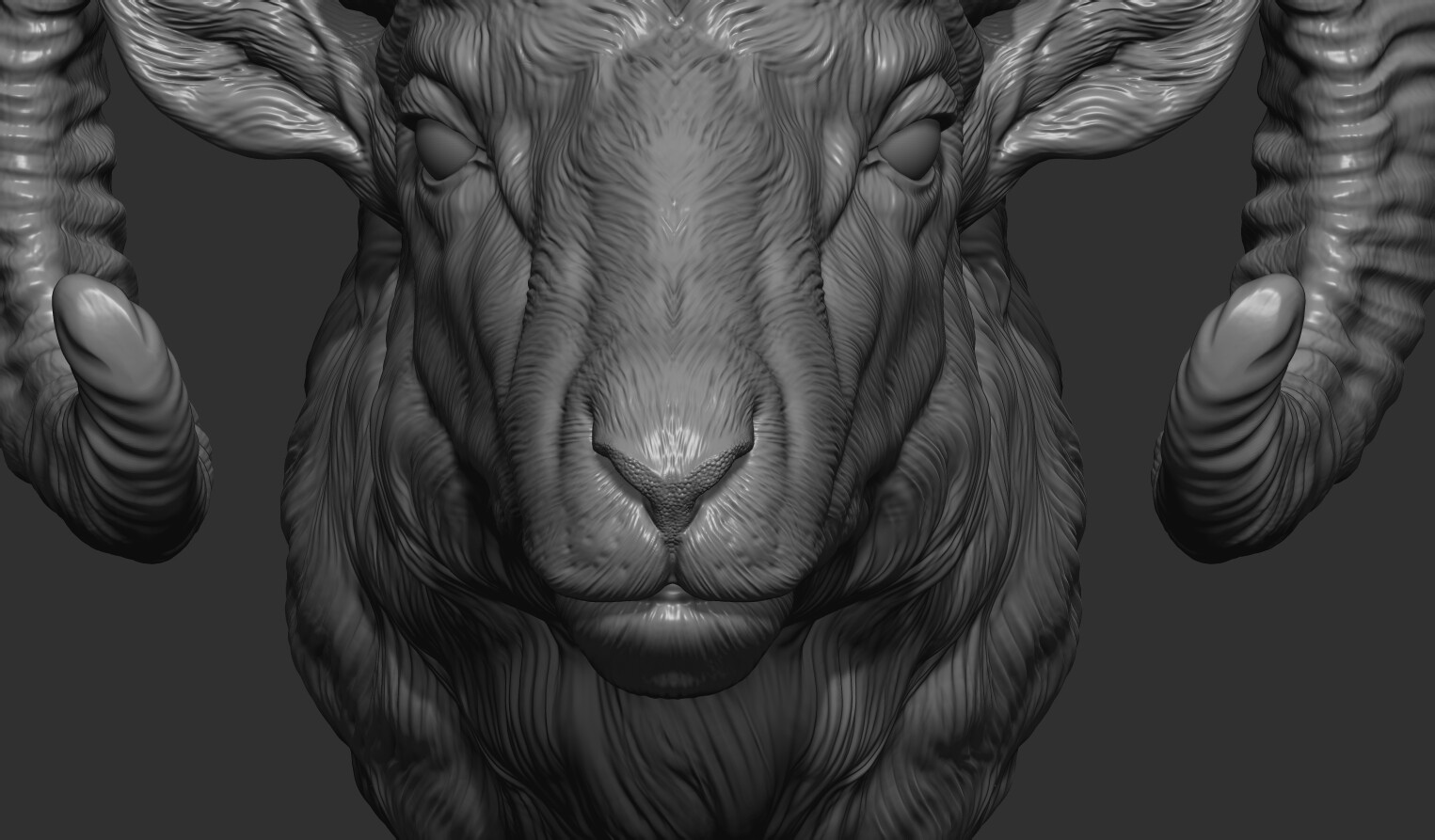 ArtStation - Big Horned Ram head | Resources
