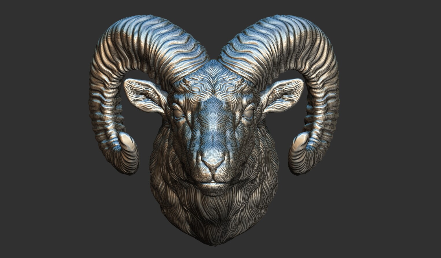 ArtStation - Big Horned Ram head | Resources