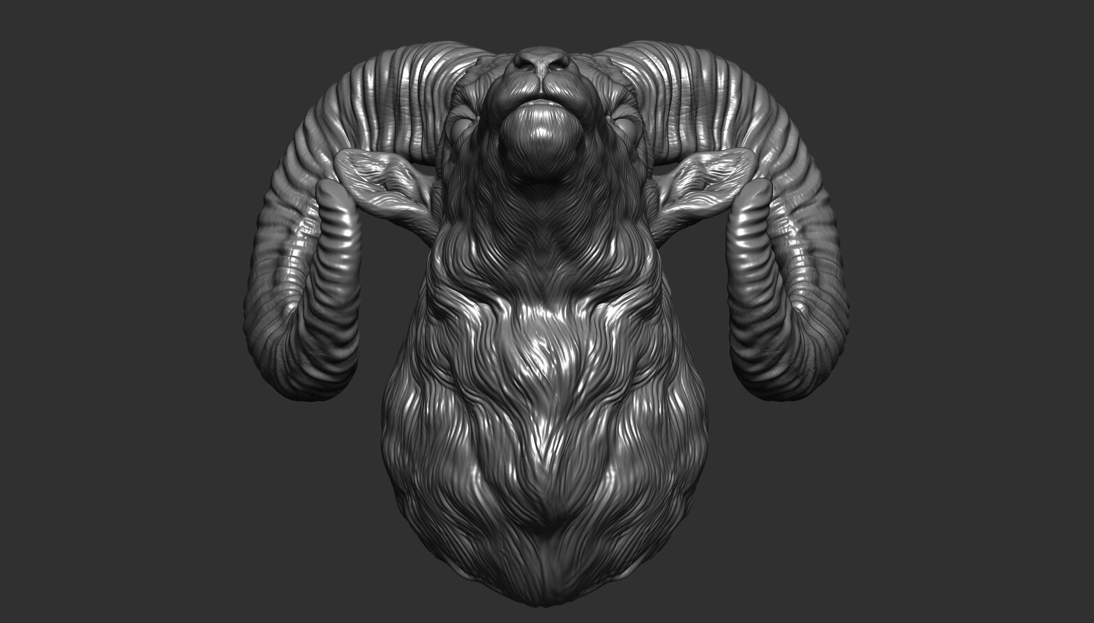 ArtStation - Big Horned Ram head | Resources