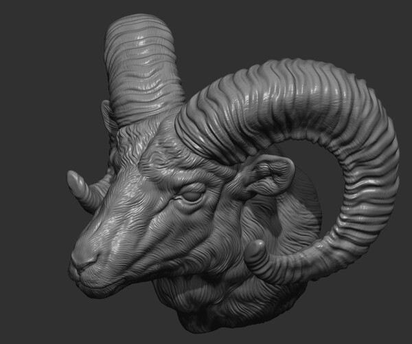 ArtStation - Big Horned Ram head | Resources