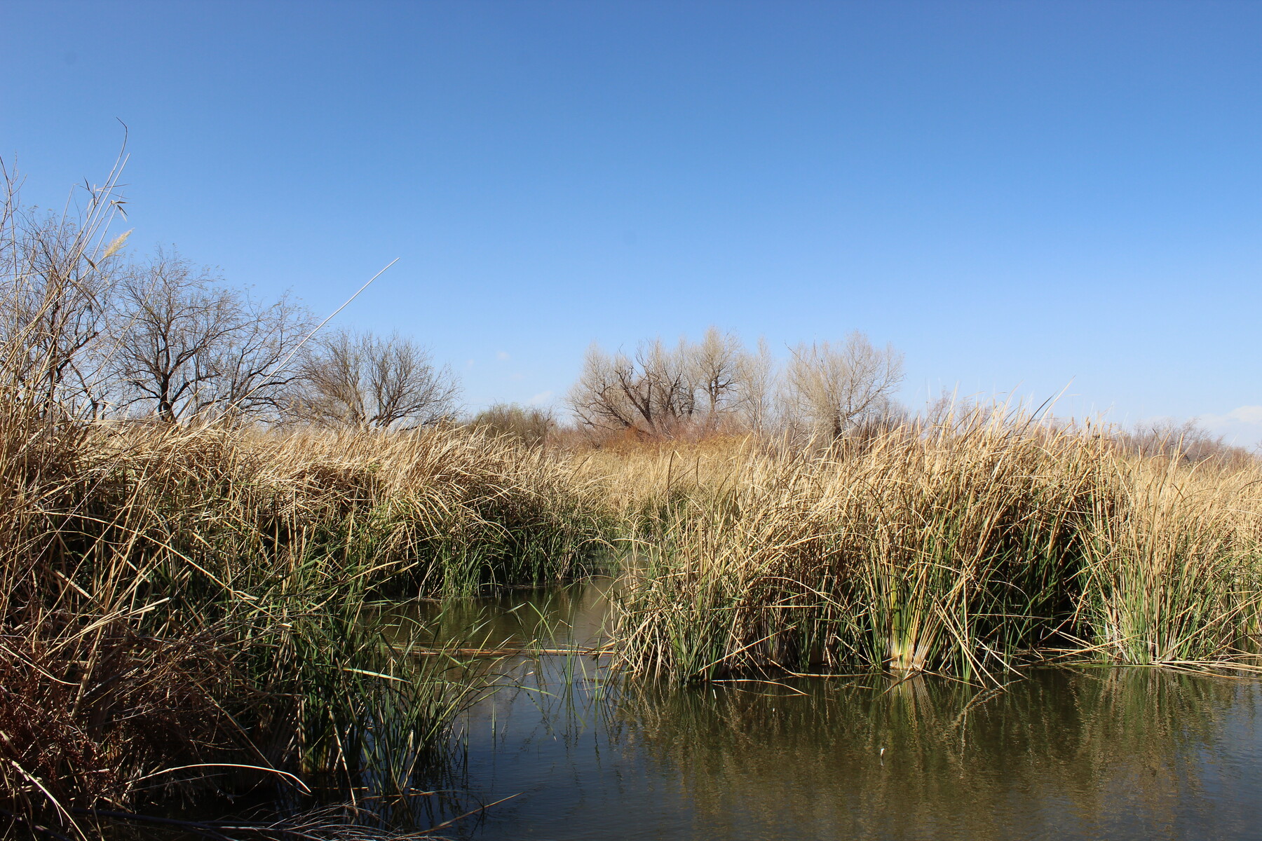 ArtStation - Desert Wetland Reference Pack, plus bonus mountain range ...