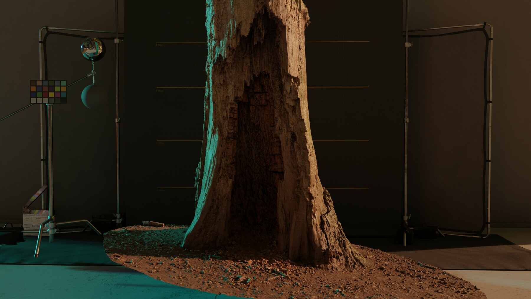 ArtStation - Rotten Tree Stump Photogrammetry | Game Assets