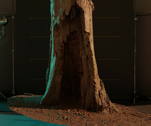 ArtStation - Rotten Tree Stump Photogrammetry | Game Assets