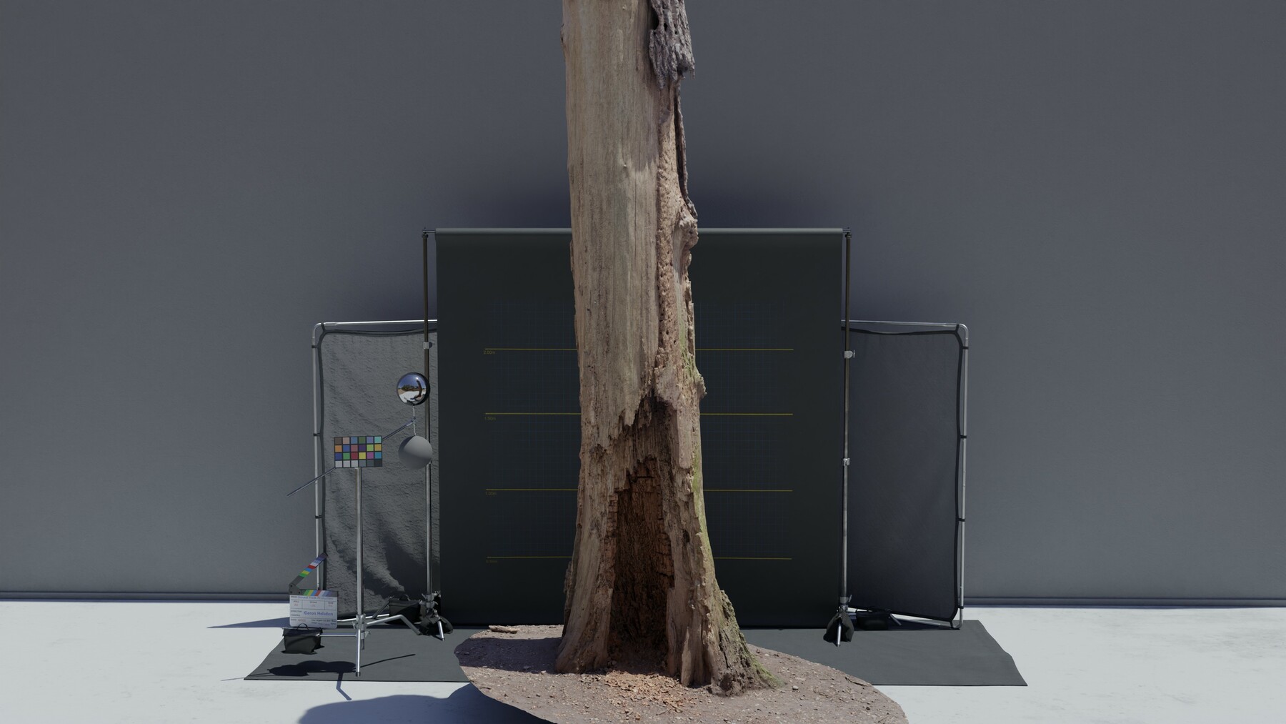 ArtStation - Rotten Tree Stump Photogrammetry | Game Assets