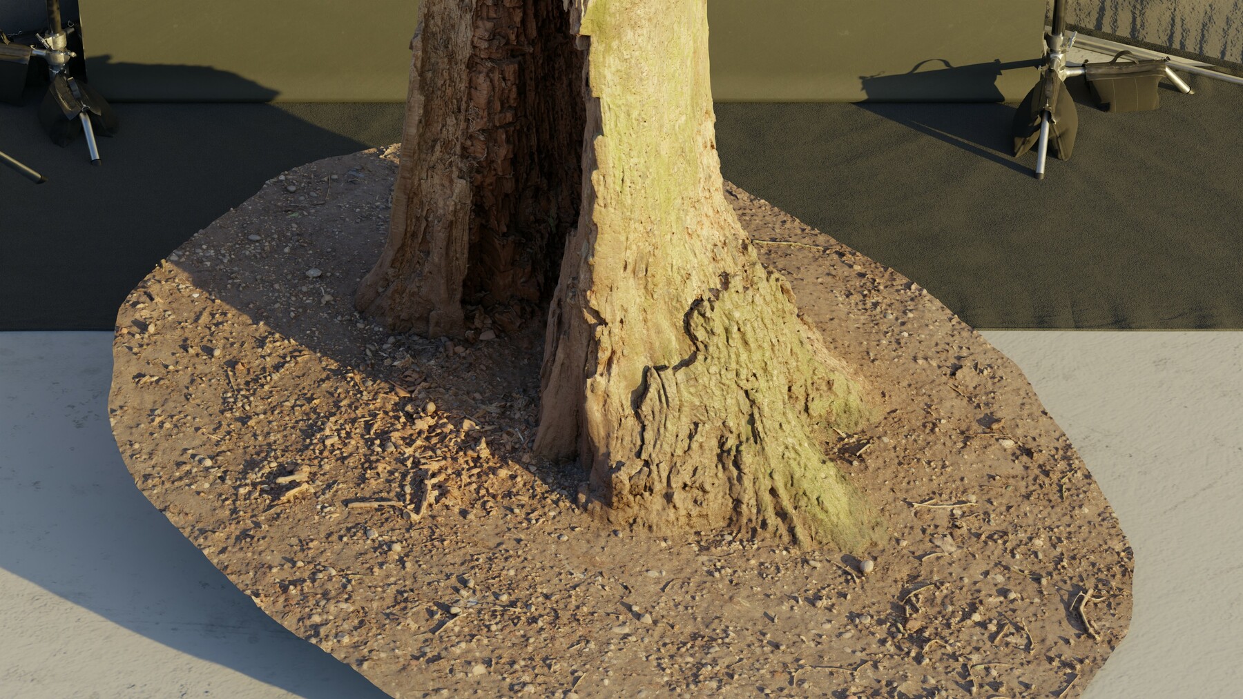 ArtStation - Rotten Tree Stump Photogrammetry | Game Assets