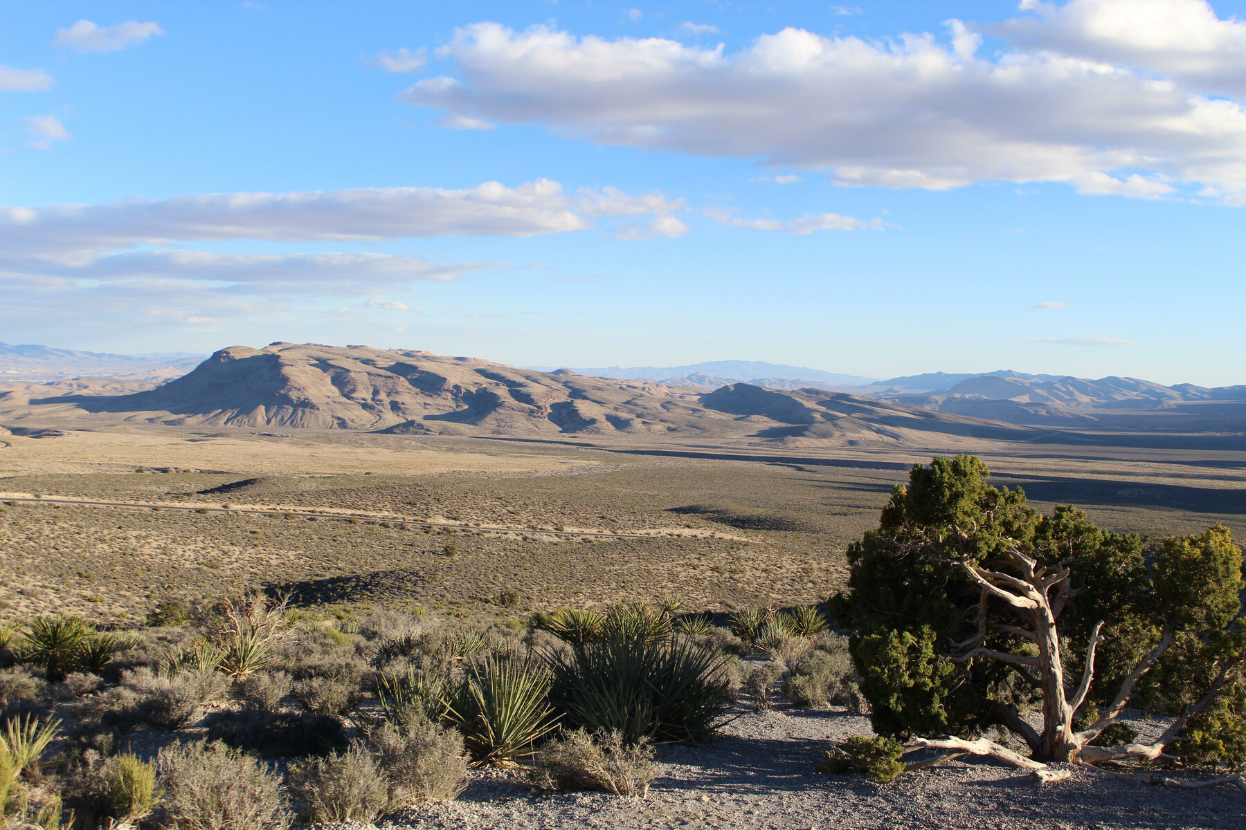 ArtStation - Desert Mountain Reference Pack 400 + reference images for ...