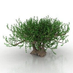 ArtStation - Resource-Interior-Tree | Resources