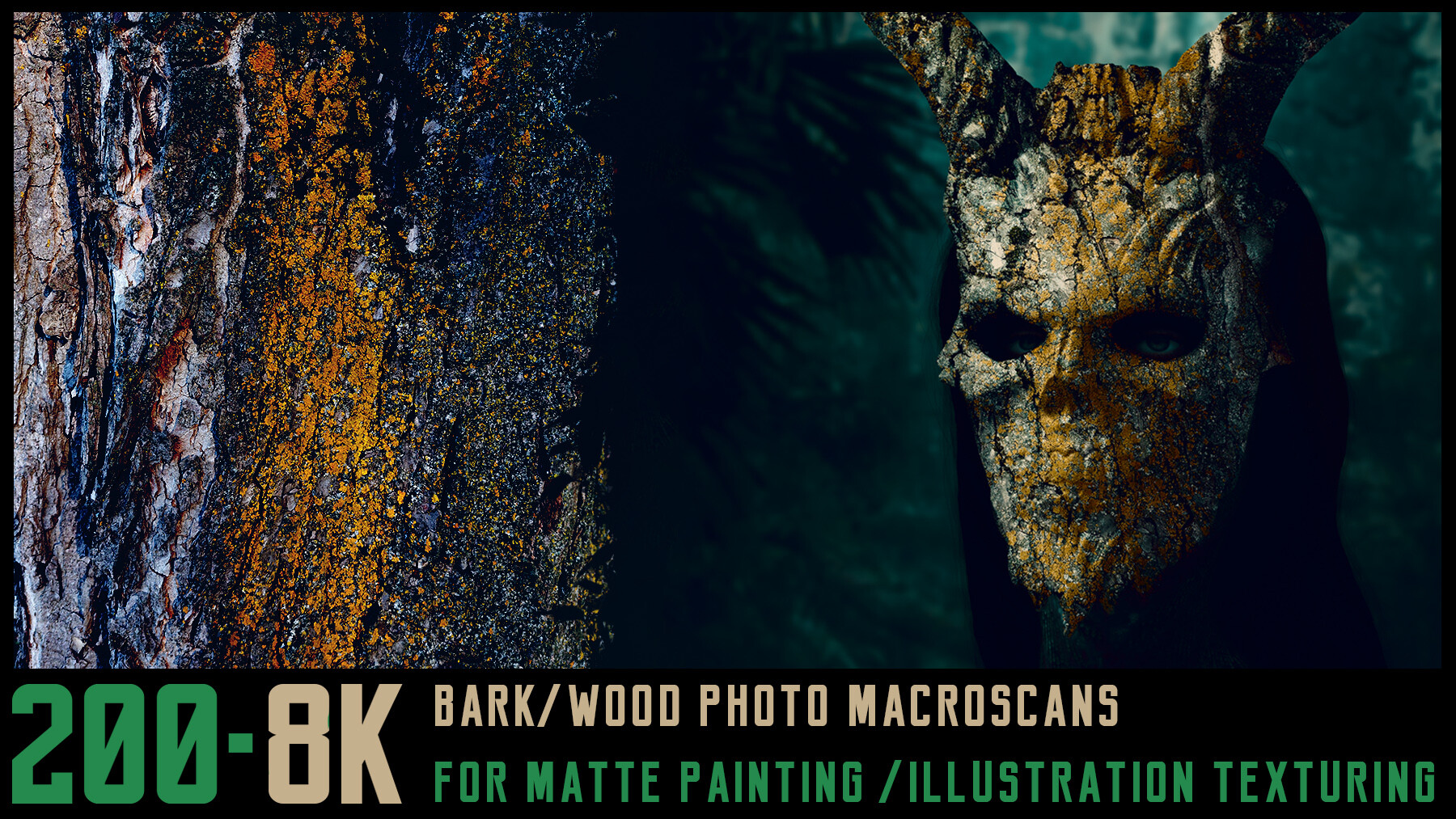 ArtStation - 200+ Wood Bark Textures | Resources