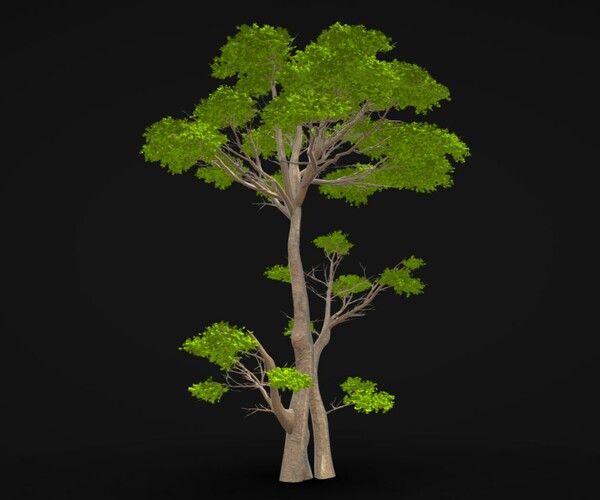ArtStation - Tree | Game Assets