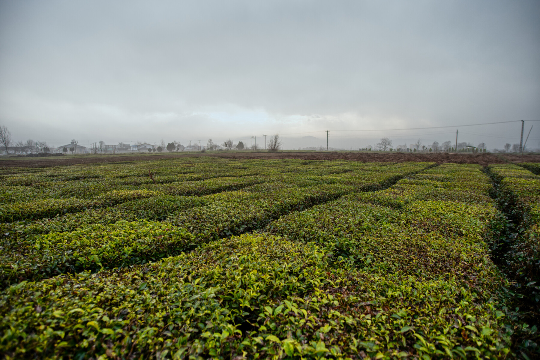 ArtStation - 200+ Photos of Persia (Iran), City views, Architecture ...