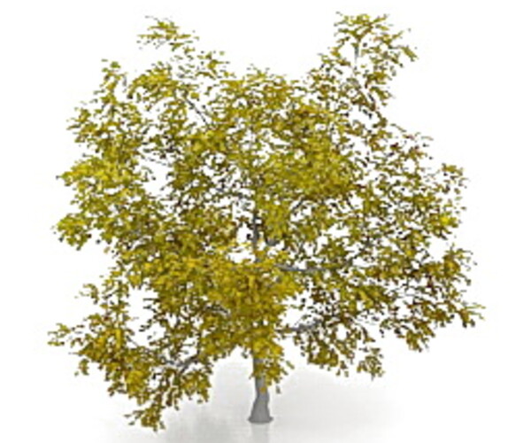 ArtStation - Resource-Interior-Exterior-Maple-Trees | Resources