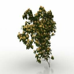 ArtStation - Resource-Interior-Exterior-Tree Garden | Resources