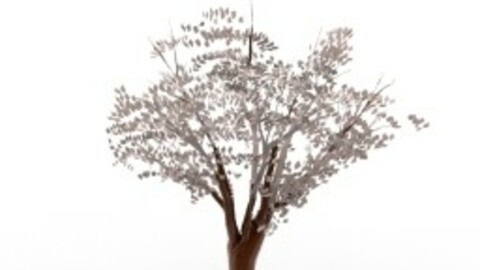 ArtStation - Resource-Interior-Exterior-Tree Garden | Resources