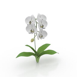 ArtStation - Resource-Interior-Exterior-White Flower | Resources