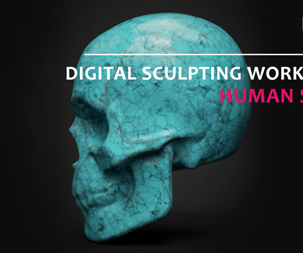 ArtStation - Digital Sculpting Workshop - Human Skull | Tutorials