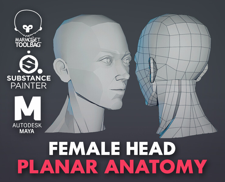 ArtStation - Character - Female Head Planar | Resources