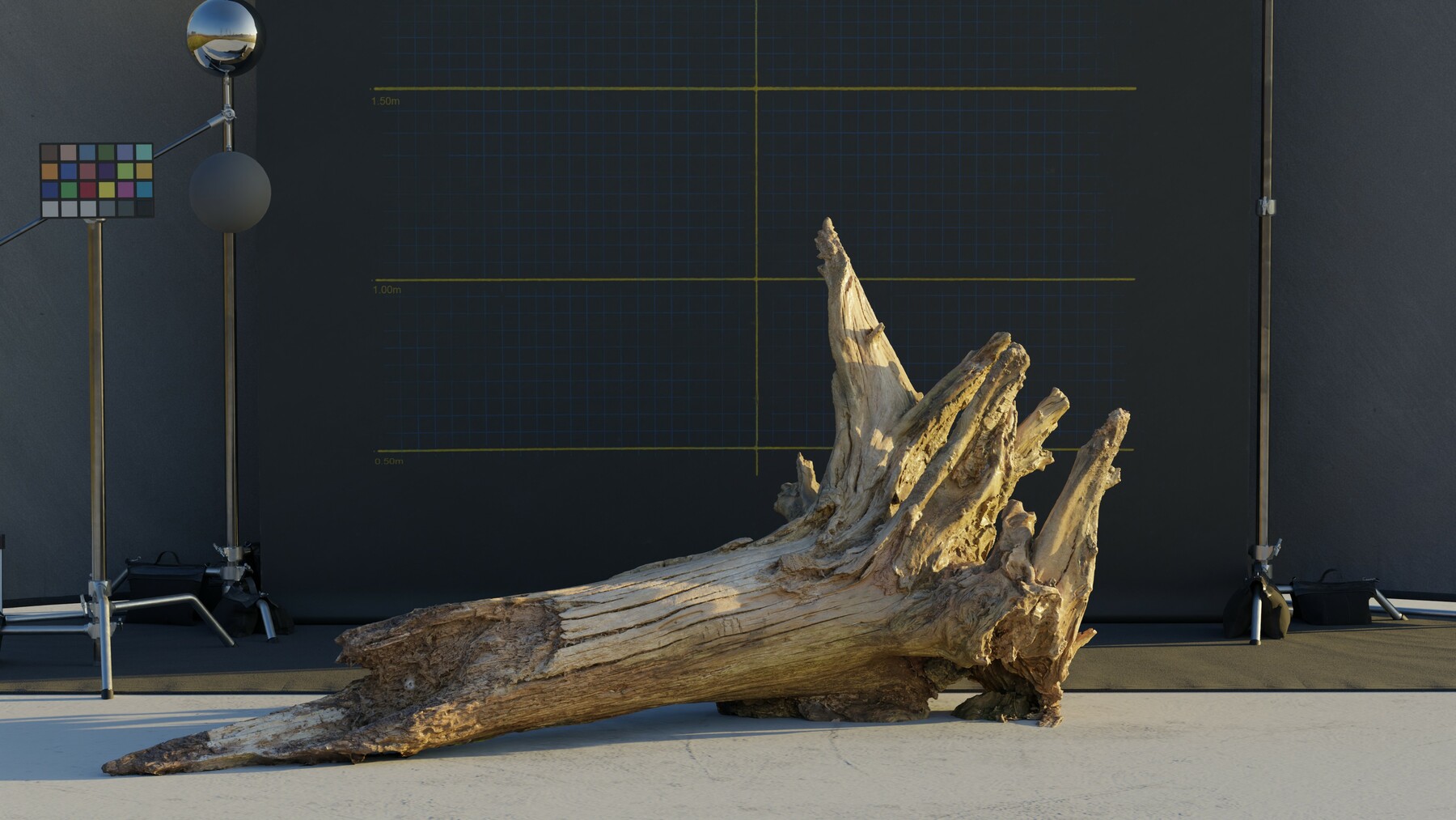 ArtStation - Fallen Tree Stump Photogrammetry | Game Assets