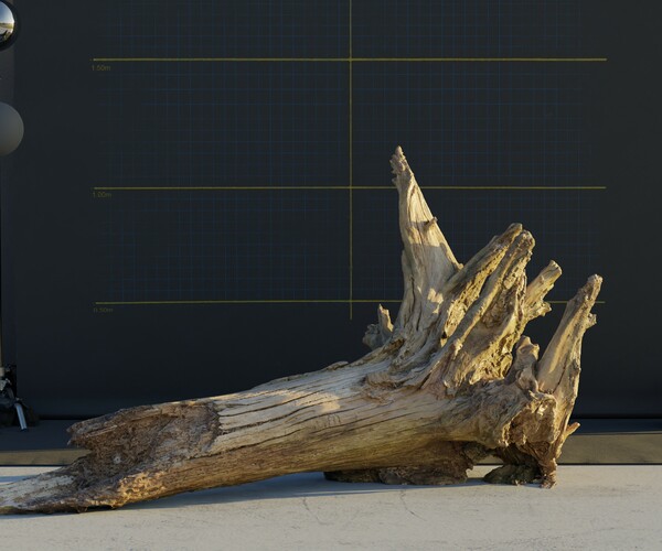 ArtStation - Fallen Tree Stump Photogrammetry | Game Assets