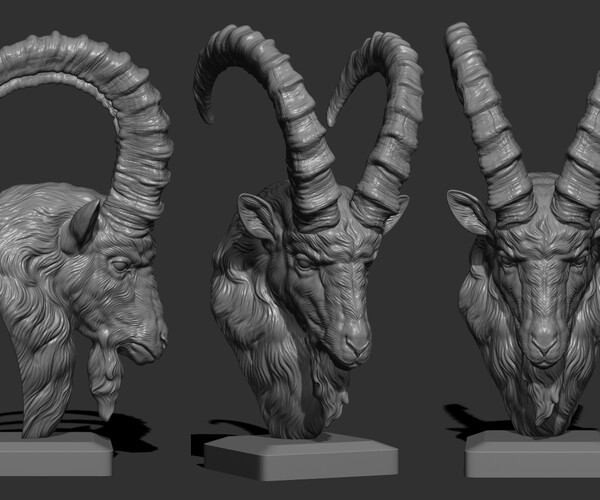 ArtStation - Ibex goat head | Resources