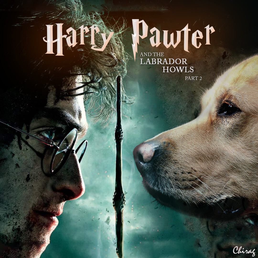 ArtStation - Harry PAWTER | Artworks