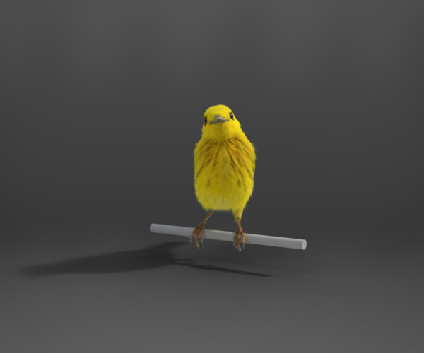 ArtStation - Yellow Warbler Animated | VFX Grace | Game Assets