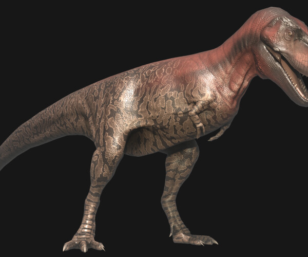 ArtStation - Albertosaurus Asset Pack | Game Assets