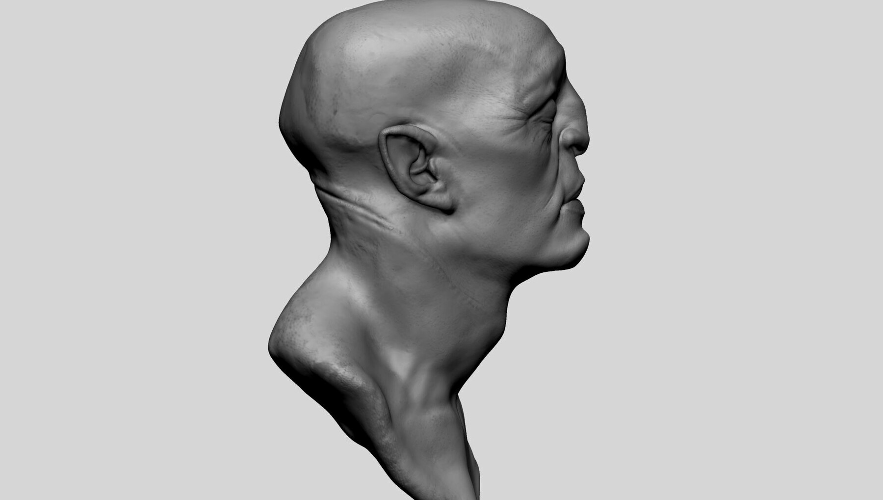 ArtStation - Fantasy Creature Head 11 | Resources