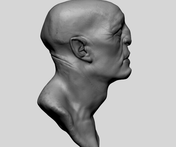 ArtStation - Fantasy Creature Head 11 | Resources