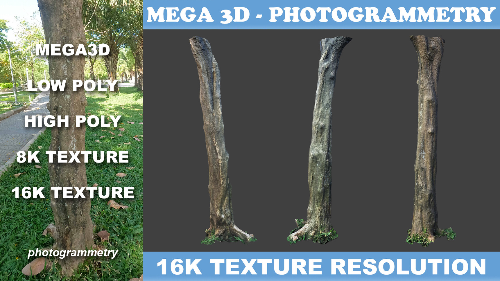 ArtStation - Low poly - High poly Trunk 03 - Photogrammetry | Game Assets