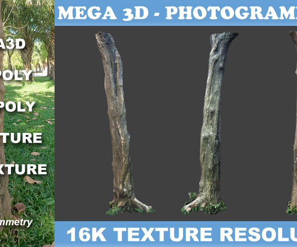 ArtStation - Low poly - High poly Trunk 03 - Photogrammetry | Game Assets
