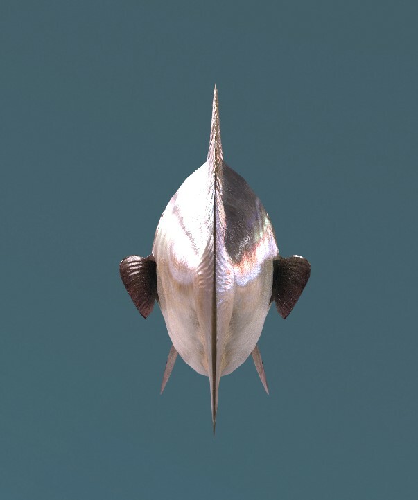 ArtStation - Cod Fish | Game Assets