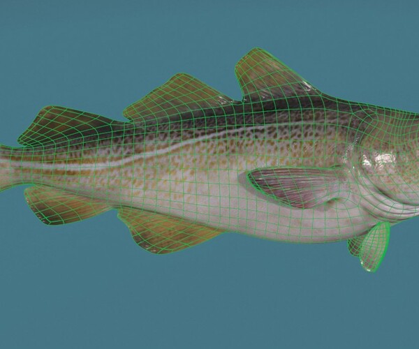 ArtStation - Cod Fish | Game Assets