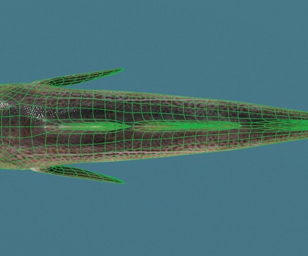 ArtStation - Cod Fish | Game Assets