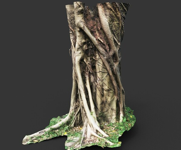 ArtStation - Low poly - High poly Trunk 07 - Photogrammetry | Resources