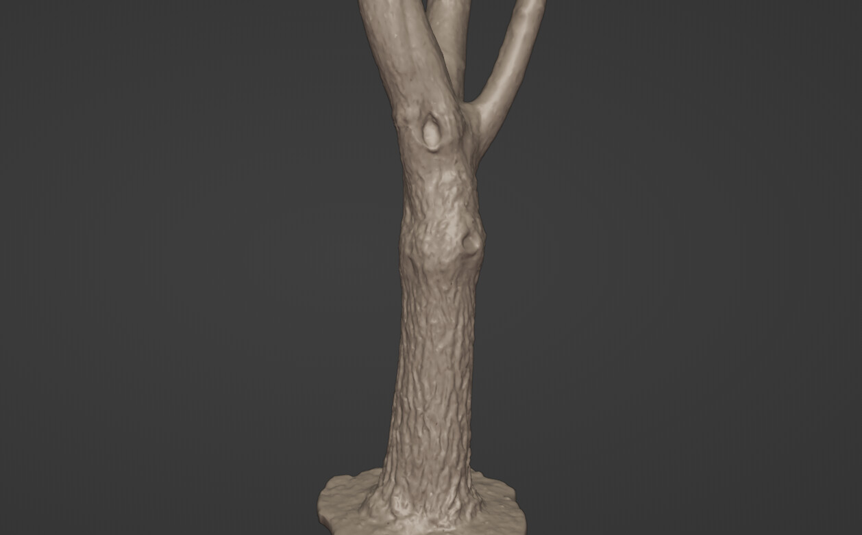 ArtStation - Pine tree (photogrammetry) | Resources