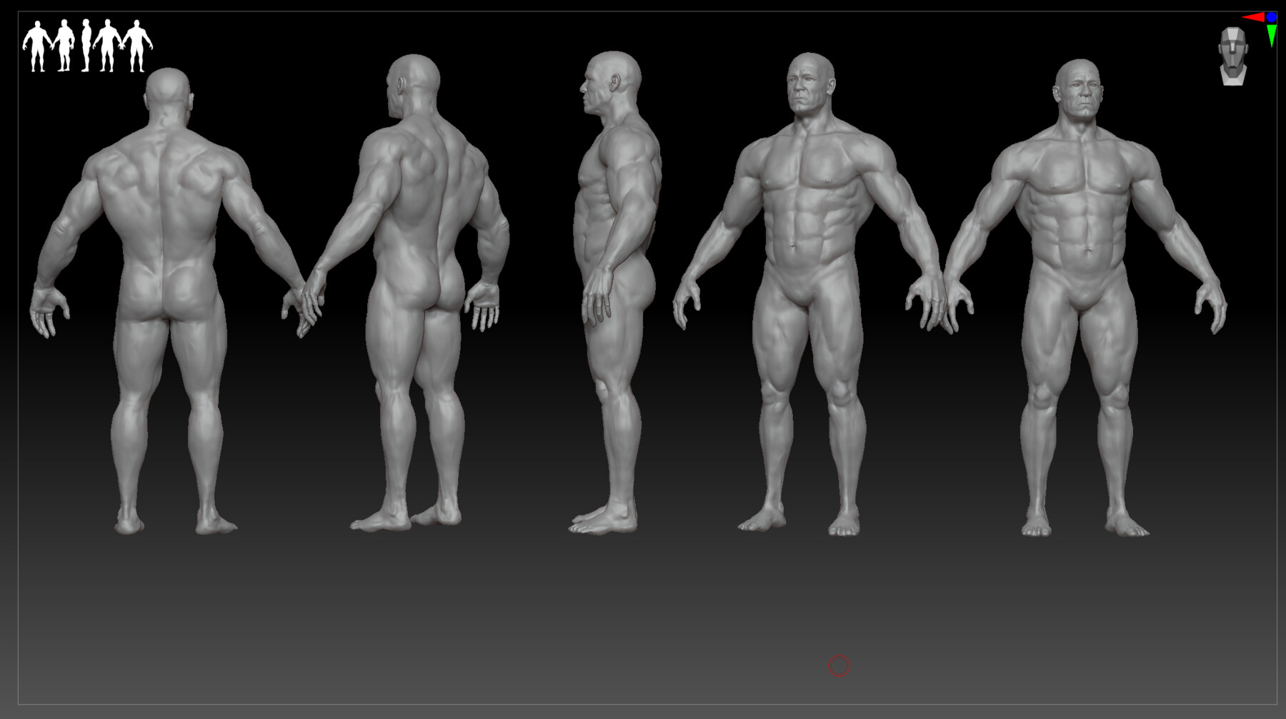 ArtStation - Male Anatomy Practice | Resources