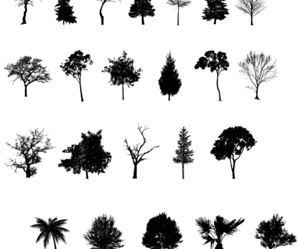 ArtStation - 23 Tree Procreate Stamps | Brushes
